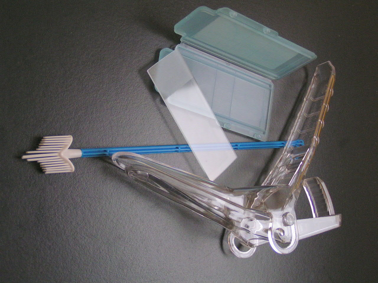 Pap Smears 101 and What You Should Know | Health Vows